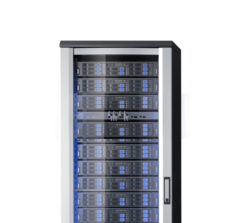 Coding - Services - Third Wave Digital